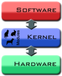 What is the Function of the Kernel of an Operating System?
